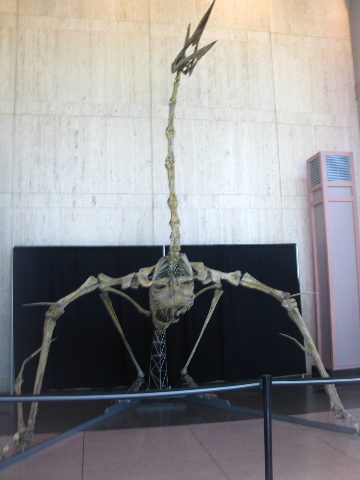 Extinct Animal of the Week: King of the Flying Reptiles