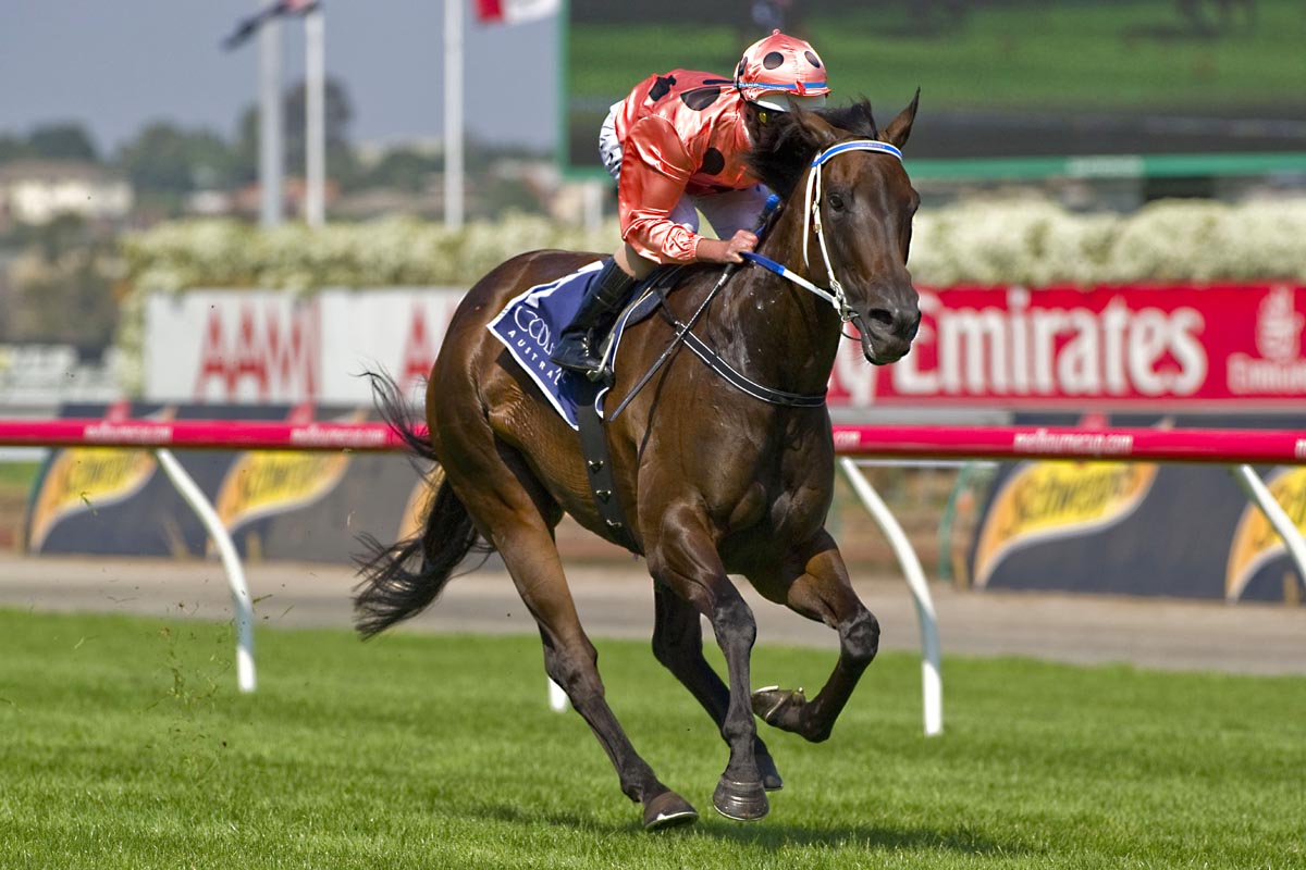 A pictorial look at the Famous Family of Black Caviar, Helsinge and All ...