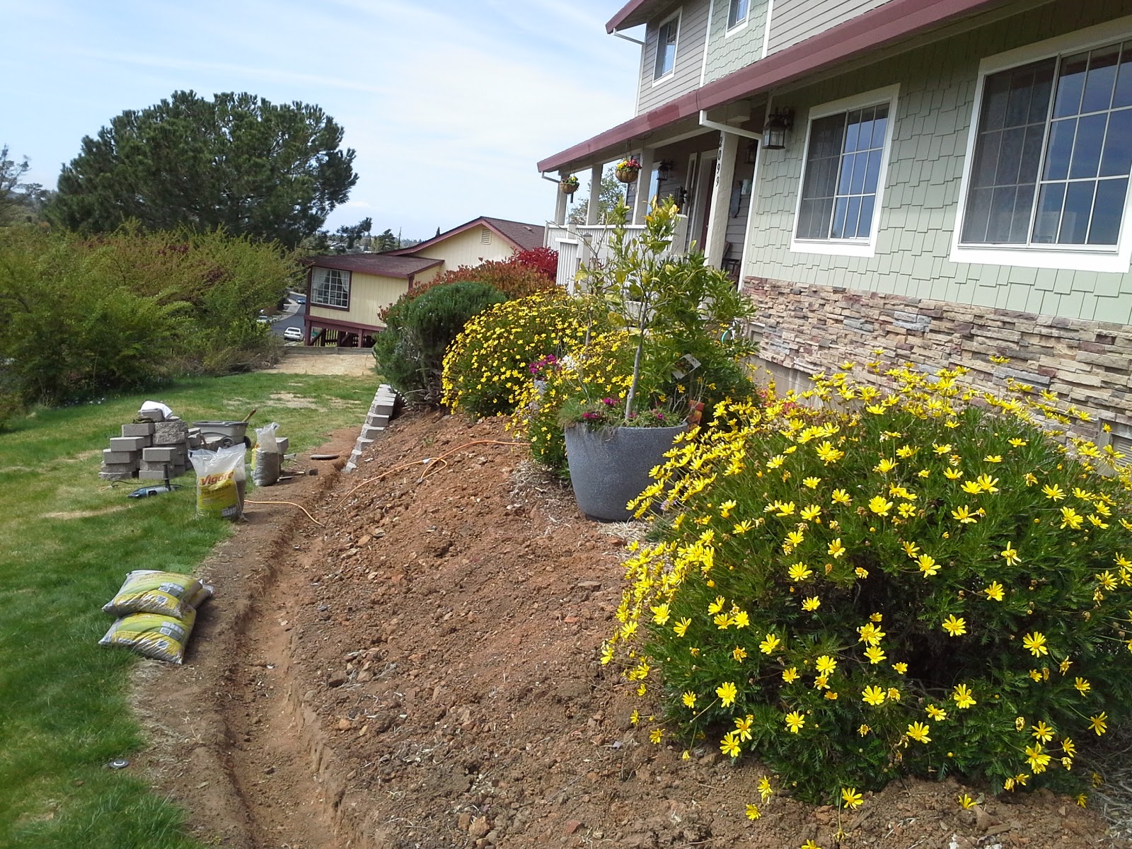 Sweaty Equities: More Front Yard Fix-Ups and Edible Gardens!