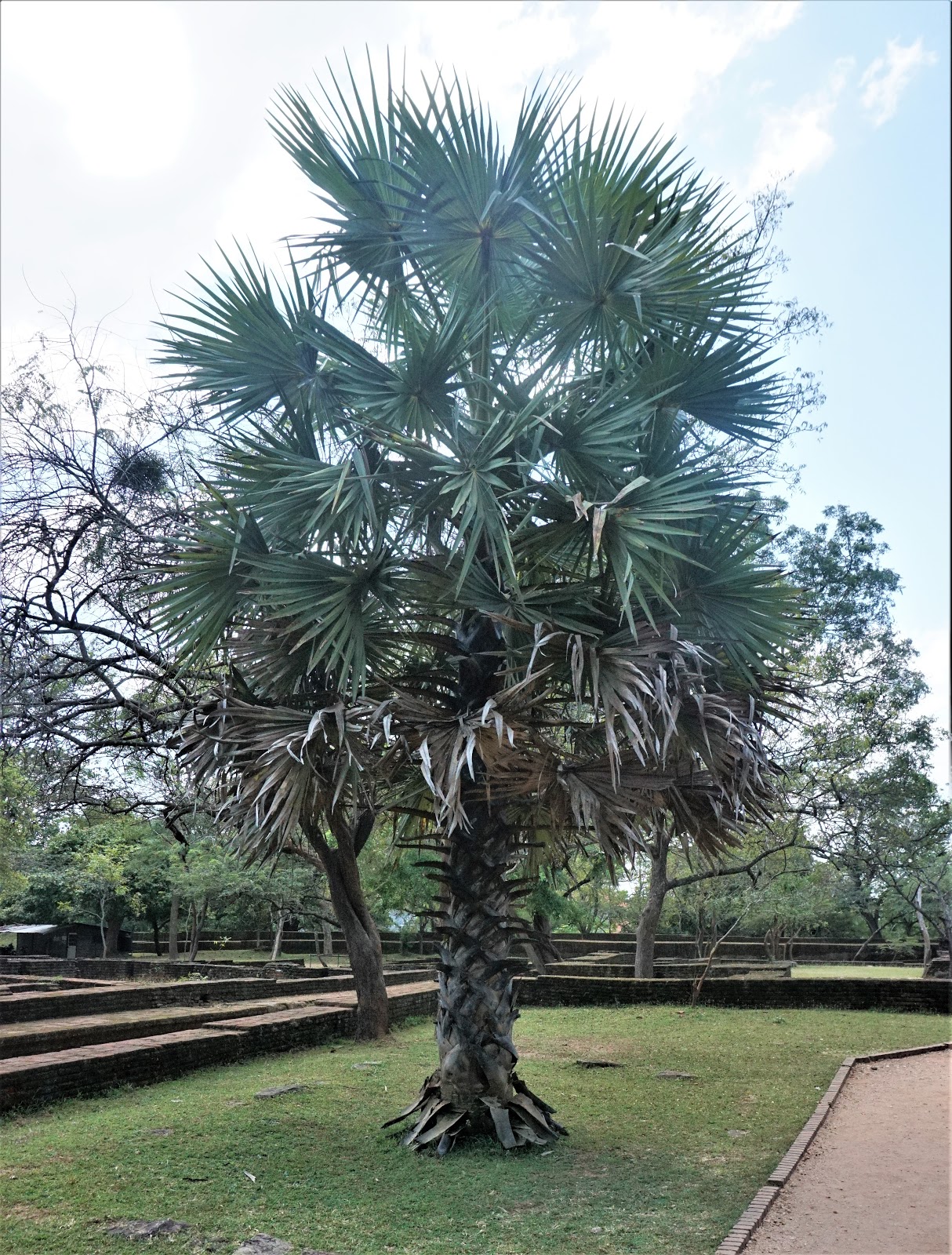 Souvenir Chronicles: SRI LANKA: POLONNARUWA