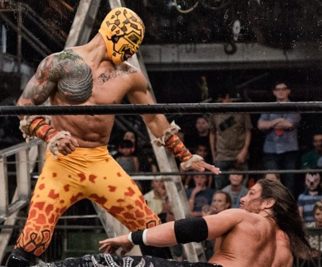 Beefcakes of Wrestling: Masked Men