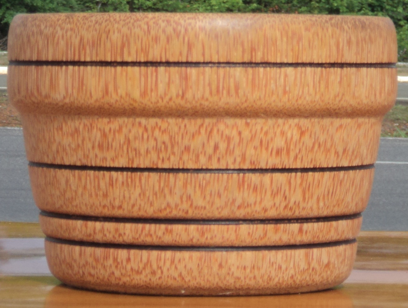 Coco Da Bahia Vasos Ecológicos: VASOS ECOLÓGICOS