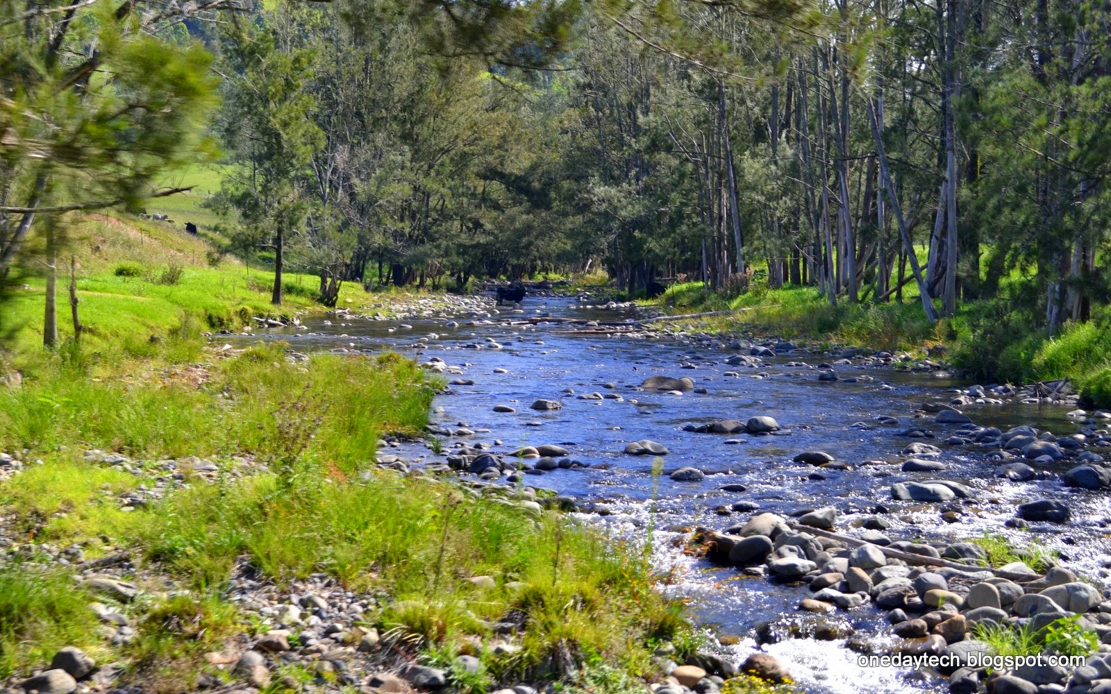 Onedaytech: Double Head Trail to Sofala