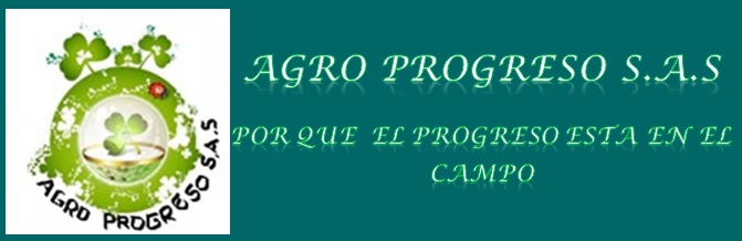AGRO PROGRESO S.A.S : PROCESO DEL CULTIVO DE AGUACATE DESDE LA SEMILLA
