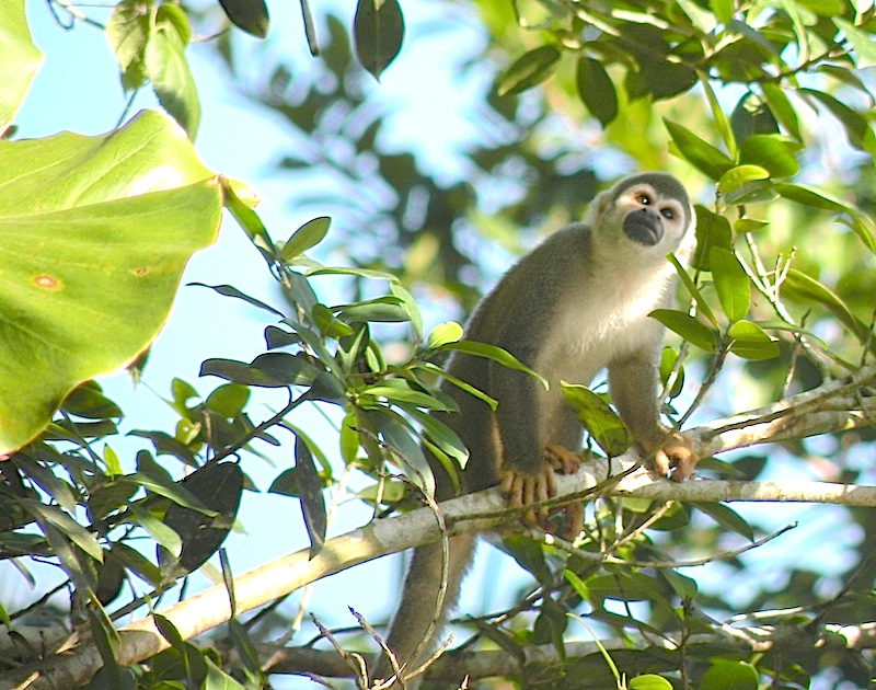 Ecuador and Galápagos Islands