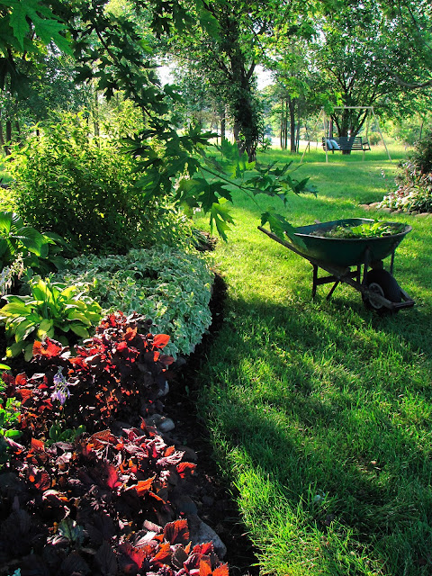 Tales from the Coop Keeper: The Garden of My Life