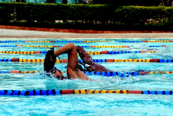 Rehan Poncha's Blog: 5 tips on how to Swim a great Freestyle