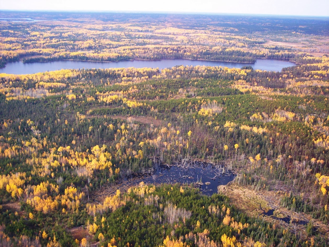 Bow Narrows Camp Blog on Red Lake Ontario: Speaking of the unending ...