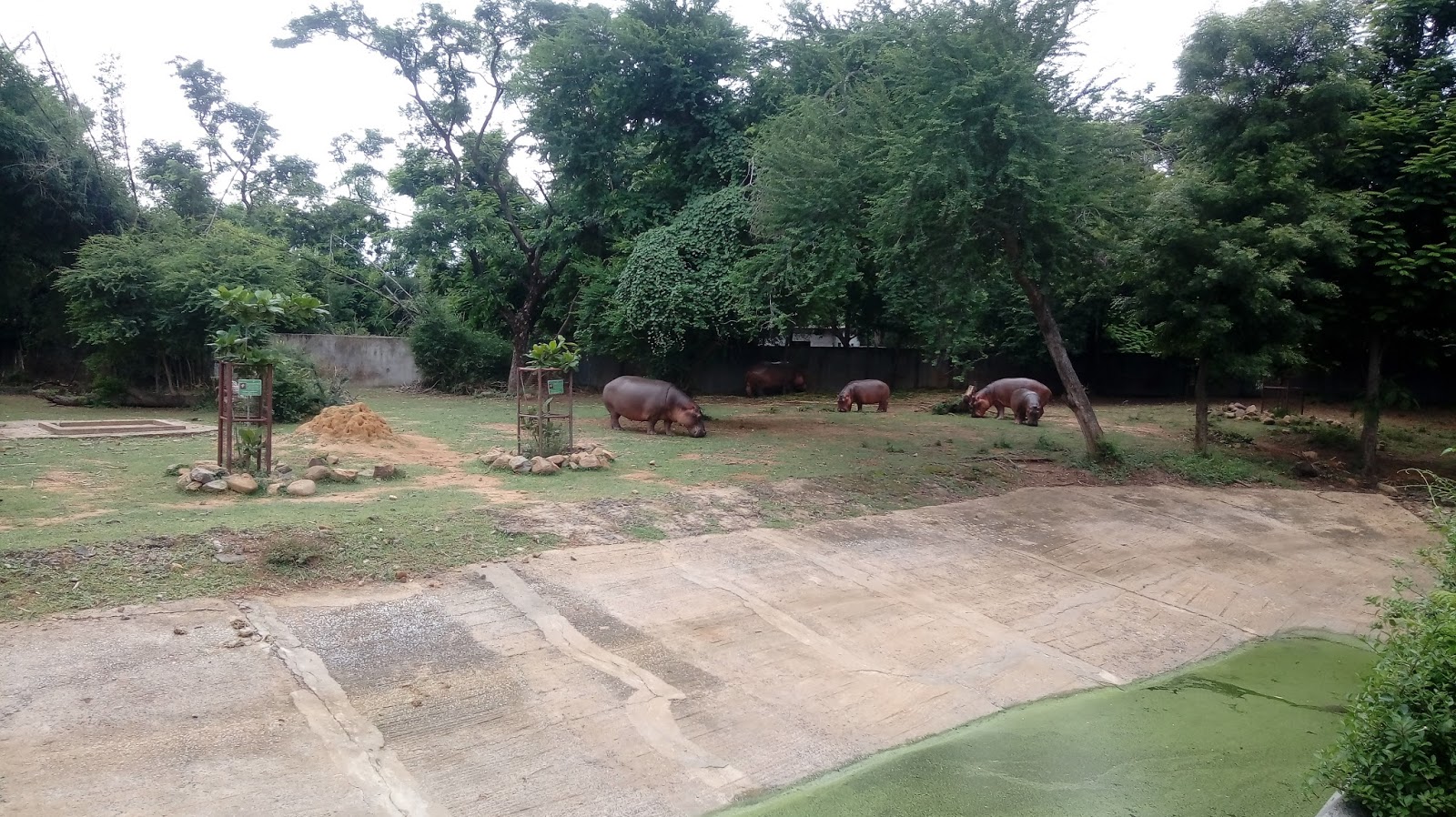 ARIGNAR ANNA ZOOLOGICAL PARK(VANDALUR ZOO ),CHENNAI