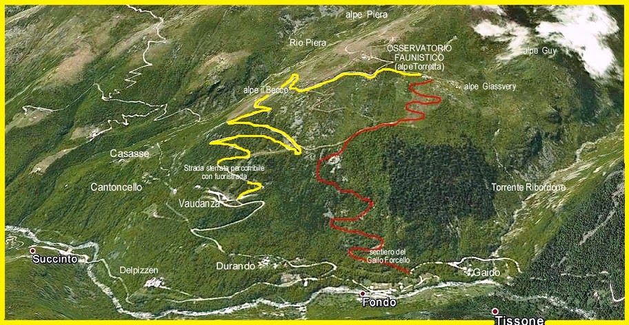 LA FAUNA DELLA VALCHIUSELLA : OSSERVATORIO FAUNISTICO