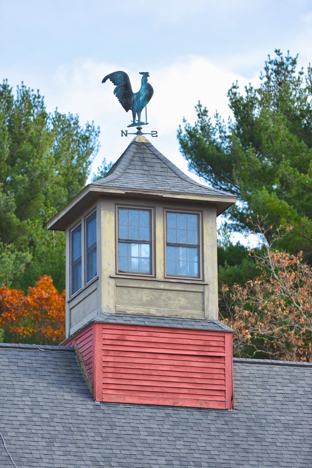 neta loves: | A DAY AT DRUMLIN FARM: