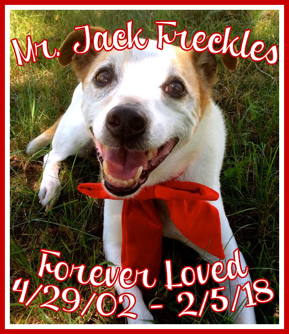 Meezer's Mews & Terrieristical Woofs: Pipo & Dalton: & Remembering Mr ...