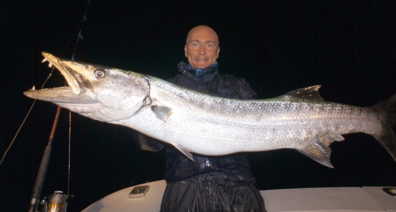 Big Fishes of the World: BARRACUDA GREAT (Sphyraena barracuda)