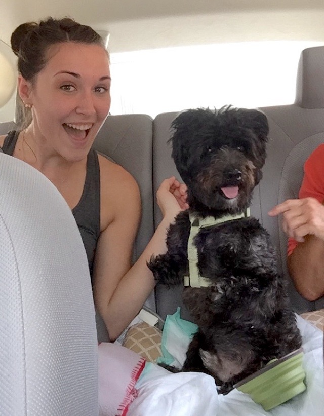 Conoce a Rabbit, el perrito que nació sin patas pero que ahora puede ...