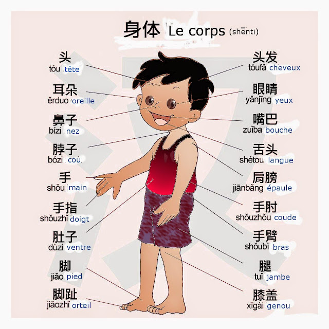 Culture chinoise: 身体 - Le corps