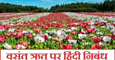वसंत ऋतु पर निबंध / Essay on Spring Season in Hindi | HindiVyakran