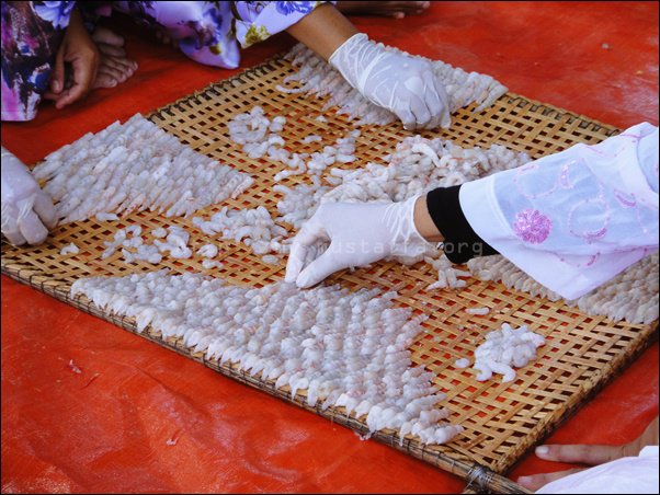 sarikei: Sesar unjur..