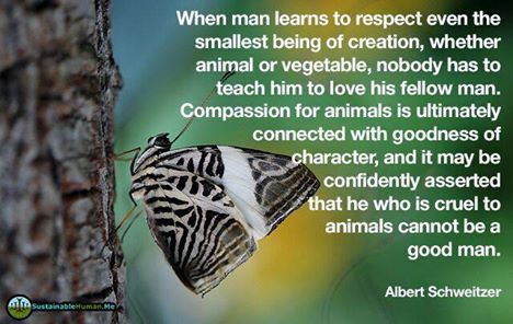 Respect for Nature - Jan S. Gephardt's Artdog Studio