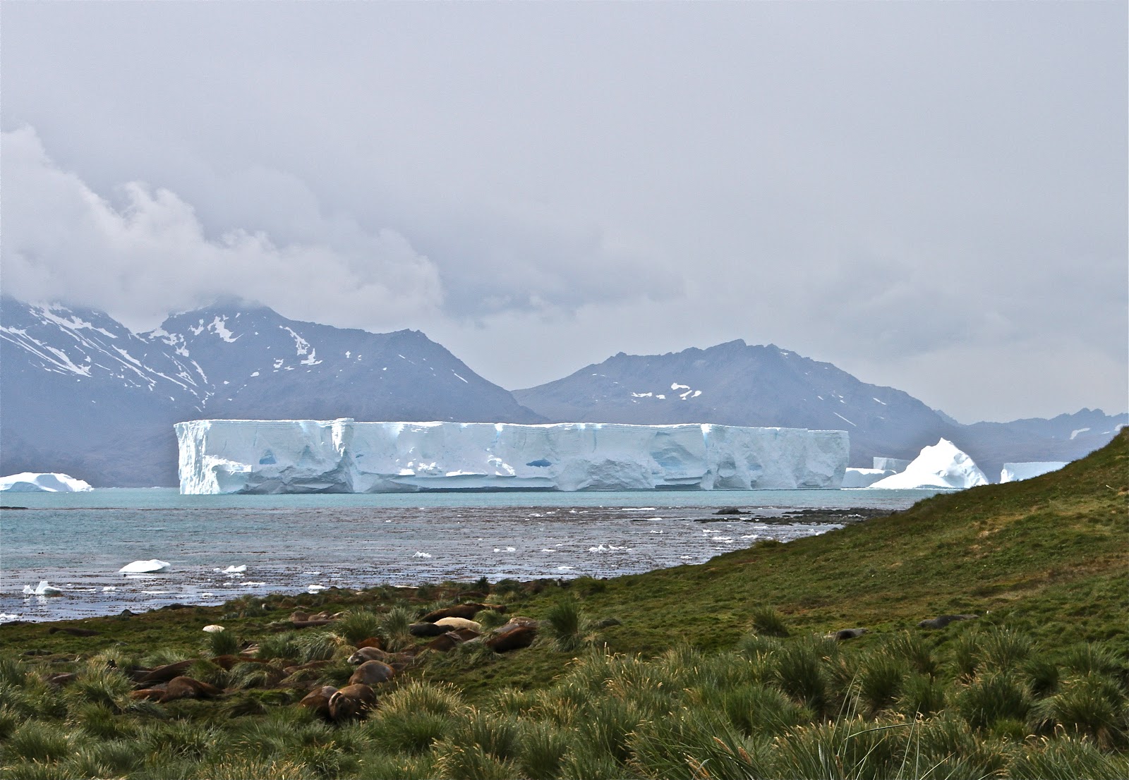 A Breath of Fresh Air: Grytviken, South Georgia.....................