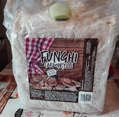 Funghi Cardoncelli Kit coltivazione da Lidl | Prezzi Bassi Online