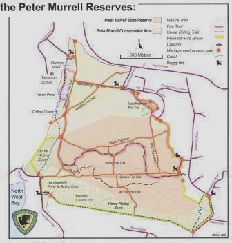 Our Walk a Month: Peter Murrell Reserves, Blackmans Bay, Oct 2013 and ...