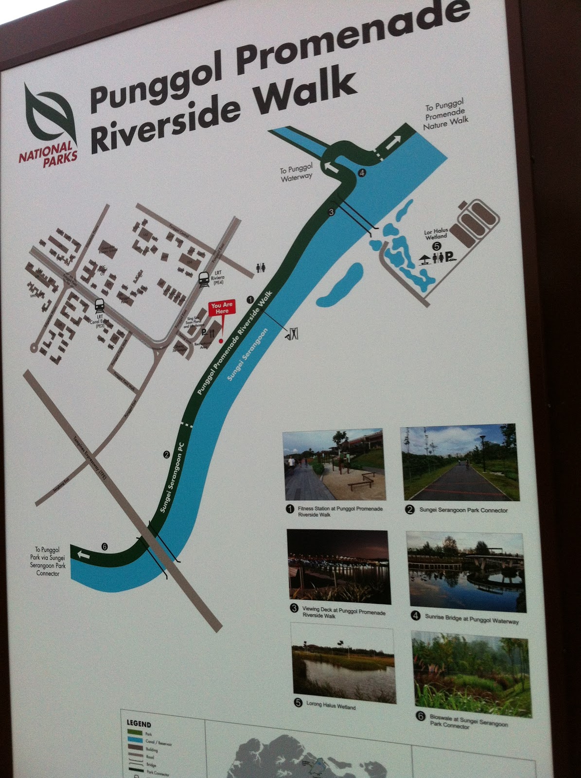 Punggol Waterway - Where it all started