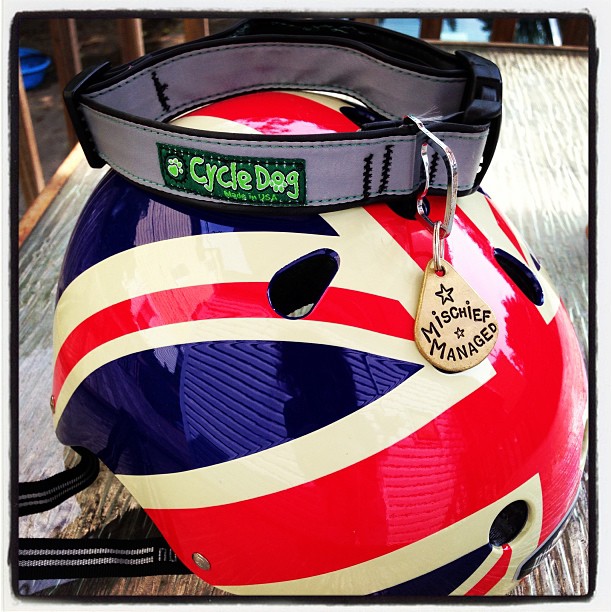 Urban Hounds: Product Review-Cycle Dog Collar