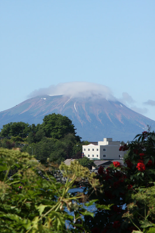 World Bird Sanctuary: Alaska Cruise: Day 4 – Sitka