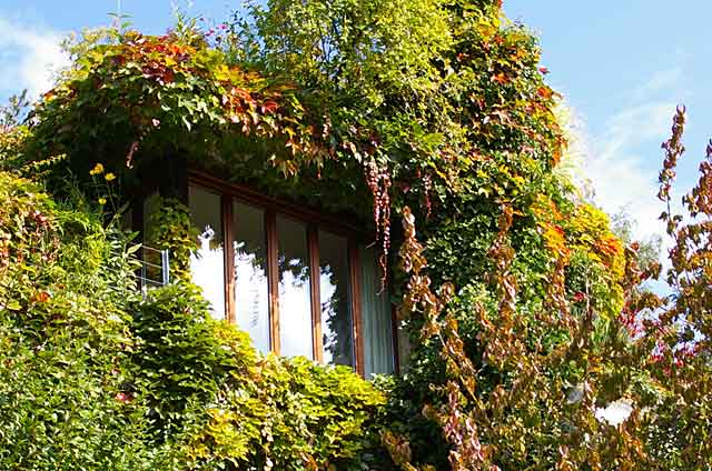 House Building Ideas: Integrate Nature In Your House