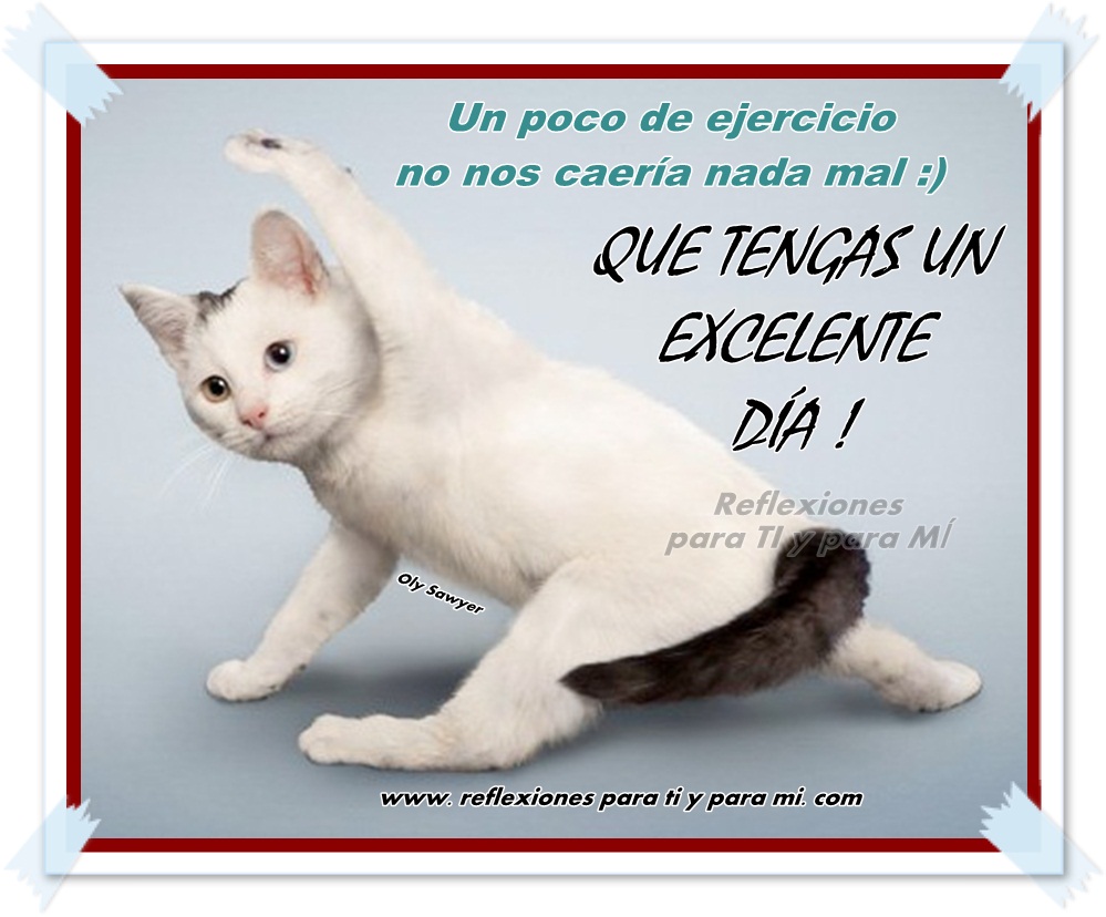 Buenos Deseos para TI y para MÍ: * QUE TENGAS UN EXCELENTE DÍA