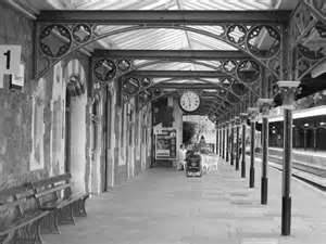 An Avid Reader's Haven: Introducing Steve Poling - Author of Human Wave ...