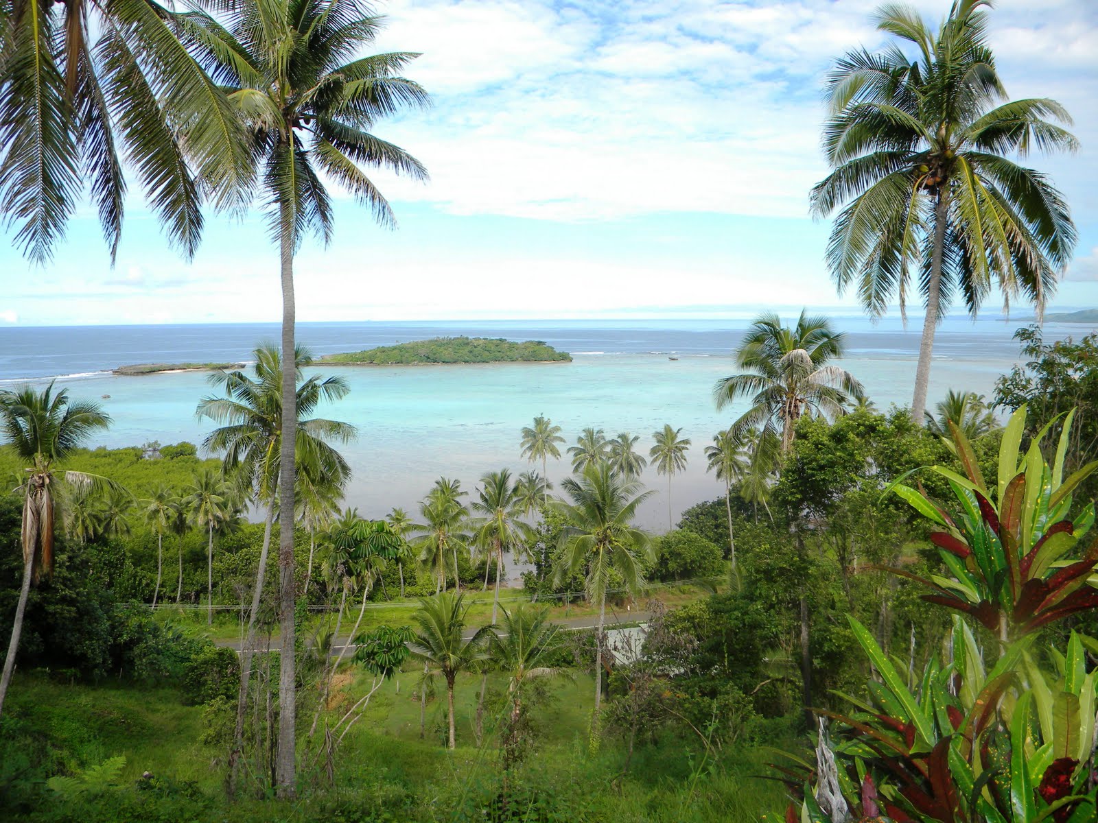 The Dog Lived (and so will I): Fiji Continued...the scenery