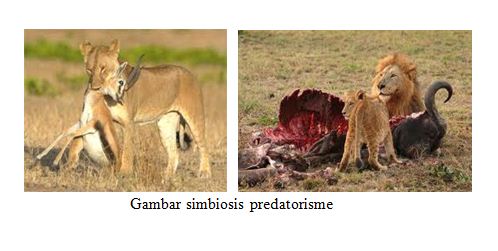 Berbagai Interaksi Dalam Ekosistem