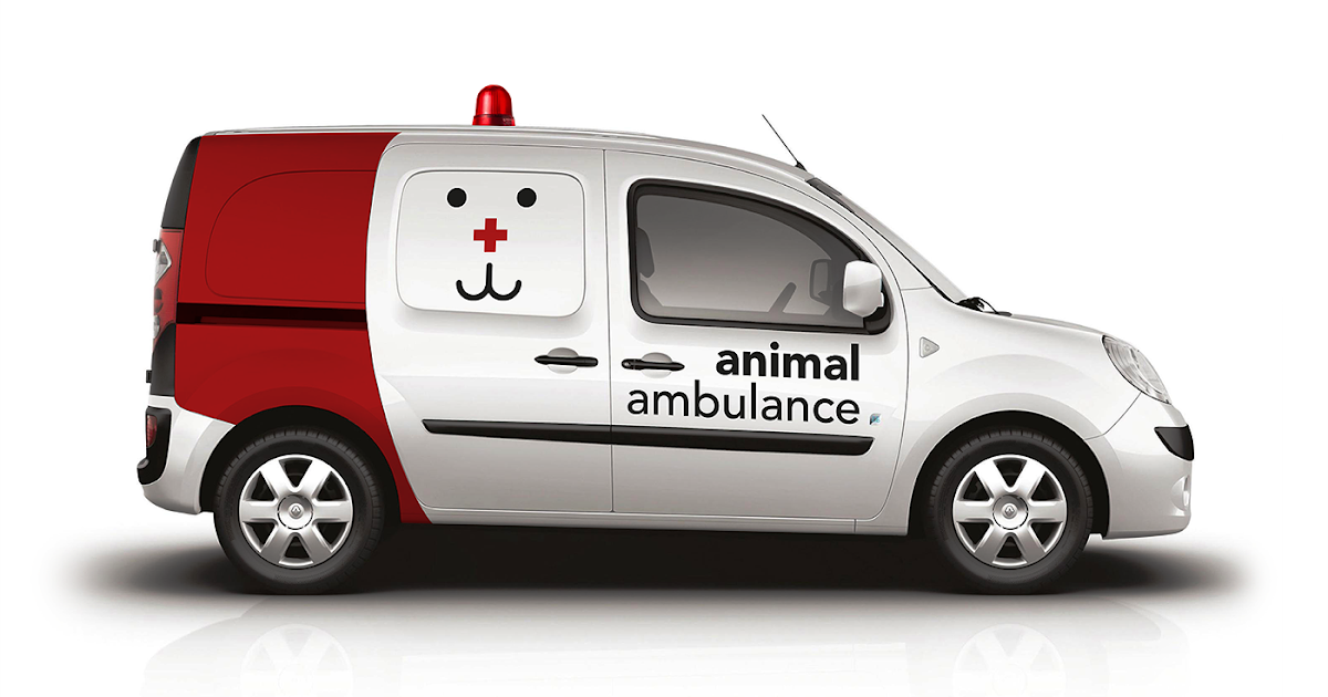 EMS SOLUTIONS INTERNATIONAL by @DrRamonReyesMD marca registrada: Animal ...