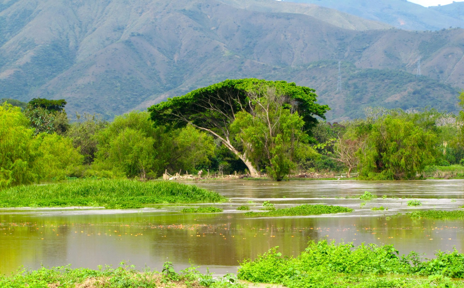 Valle Del Cauca Buga: Descripción Guadalajara de Buga