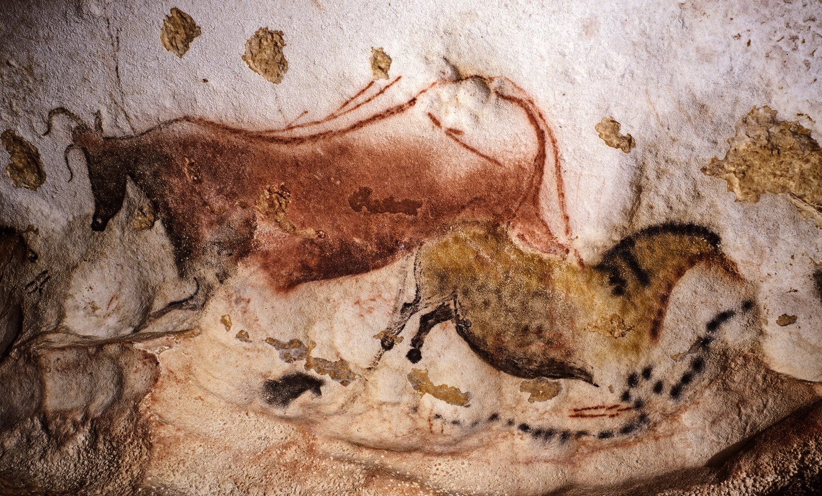 MY MAGICAL ATTIC: LASCAUX IV: THE INTERNATIONAL CENTRE FOR CAVE ART BY ...