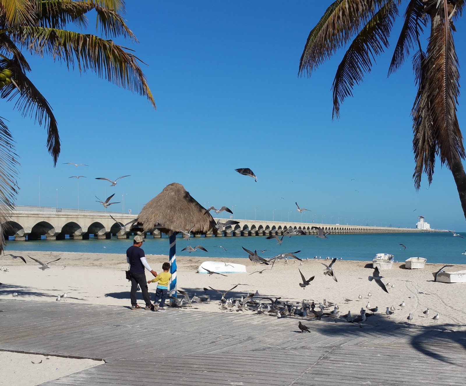 Jim and Kim's Travels: Hola from Progreso, Mexico