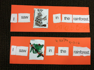 Ms. Solano's Kindergarten Class: They LOVED the Rainforest