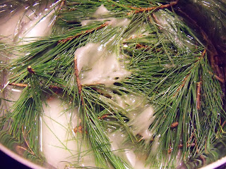 Plant Journeys: Herbal Simple Syrups: Easy, Delicious Gifts!