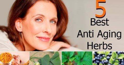 The Top 5 Best Anti-Aging Herbs - Ladies