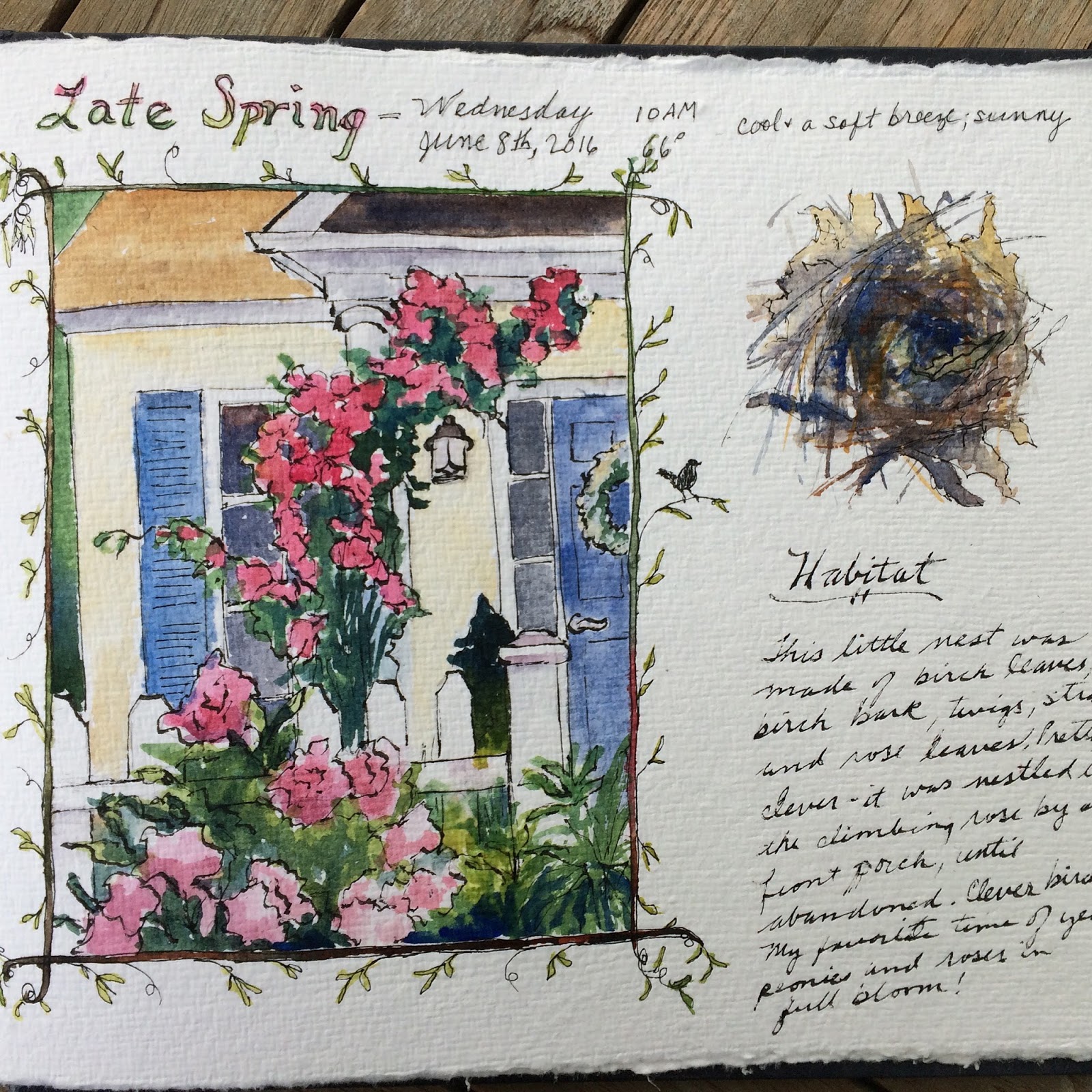 Roxanne Steed's Painting a Day: Nature Sketchbook Journaling class -CT ...
