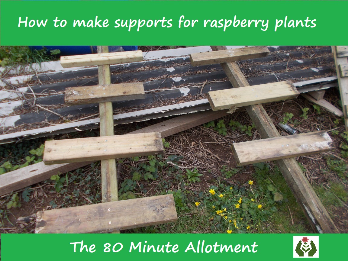 The Green Fingered Blog: How to make supports for raspberry plants
