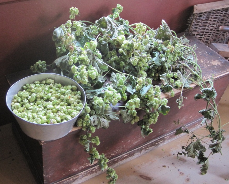 The Farmers' Museum: Bees and Hops