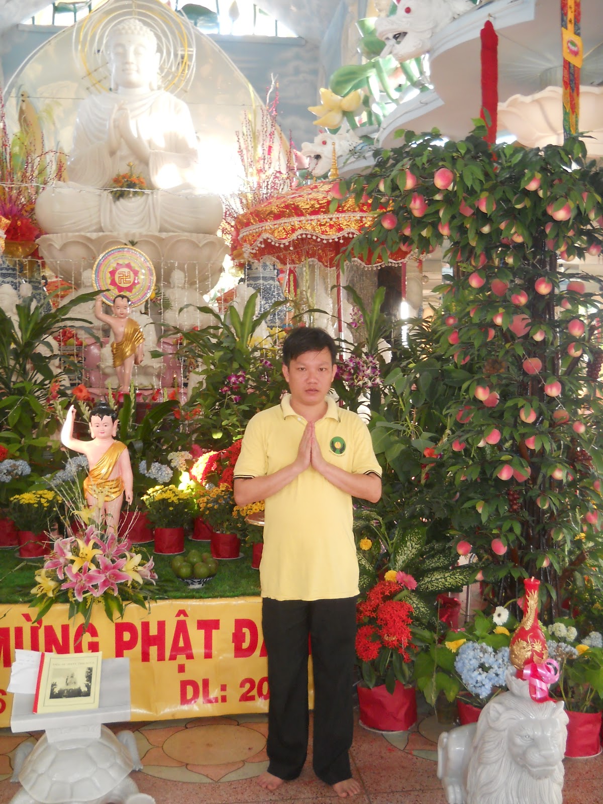 HÌnh Ảnh Massage Đôi Tay Người Mù