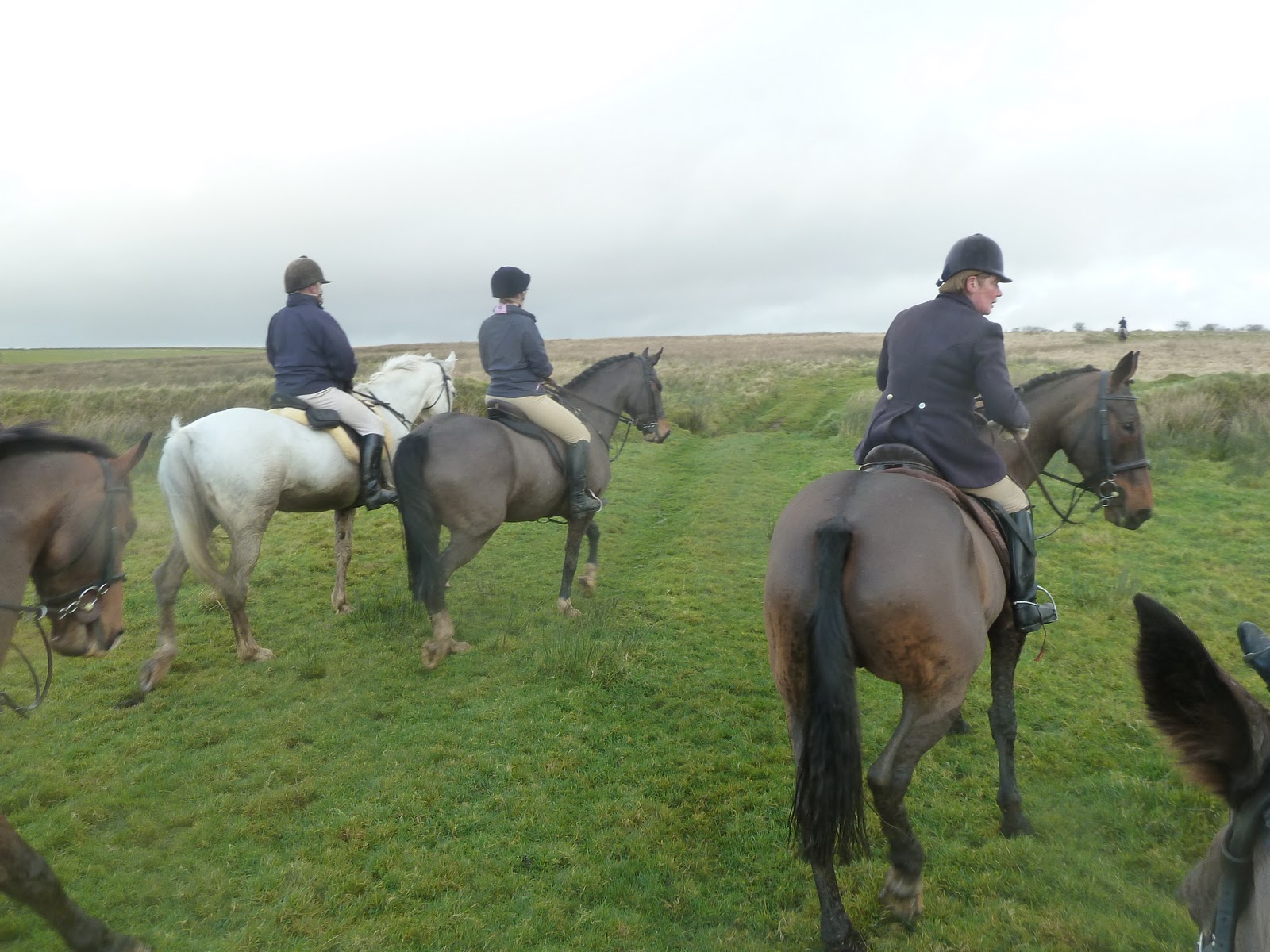 Rockley Farm: Hunting hooves