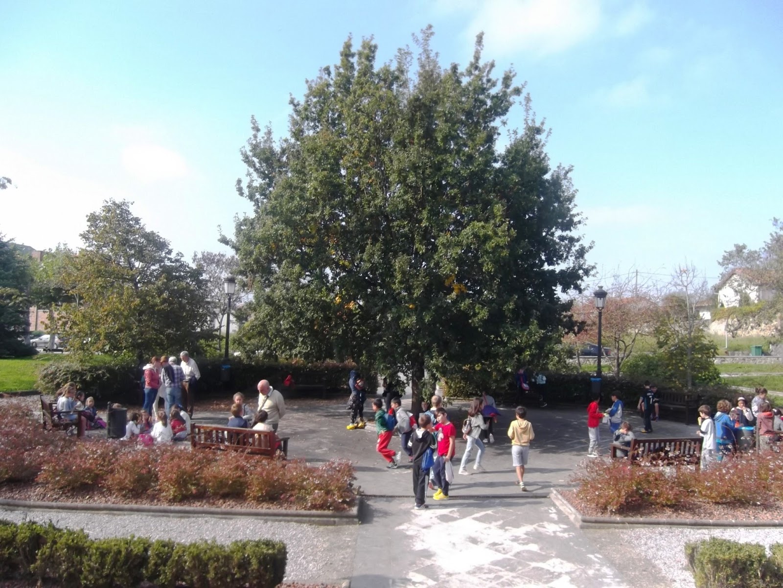 Noticial del CRIEME: 2017