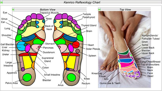 Science Update: FOOT REFLEXOLOGY