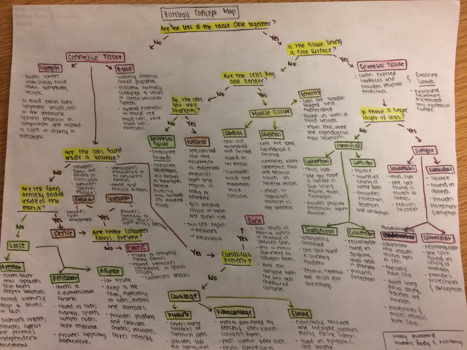 BIOL& 241 | Human Anatomy & Physiology 1 – Spring 2017: April 2017