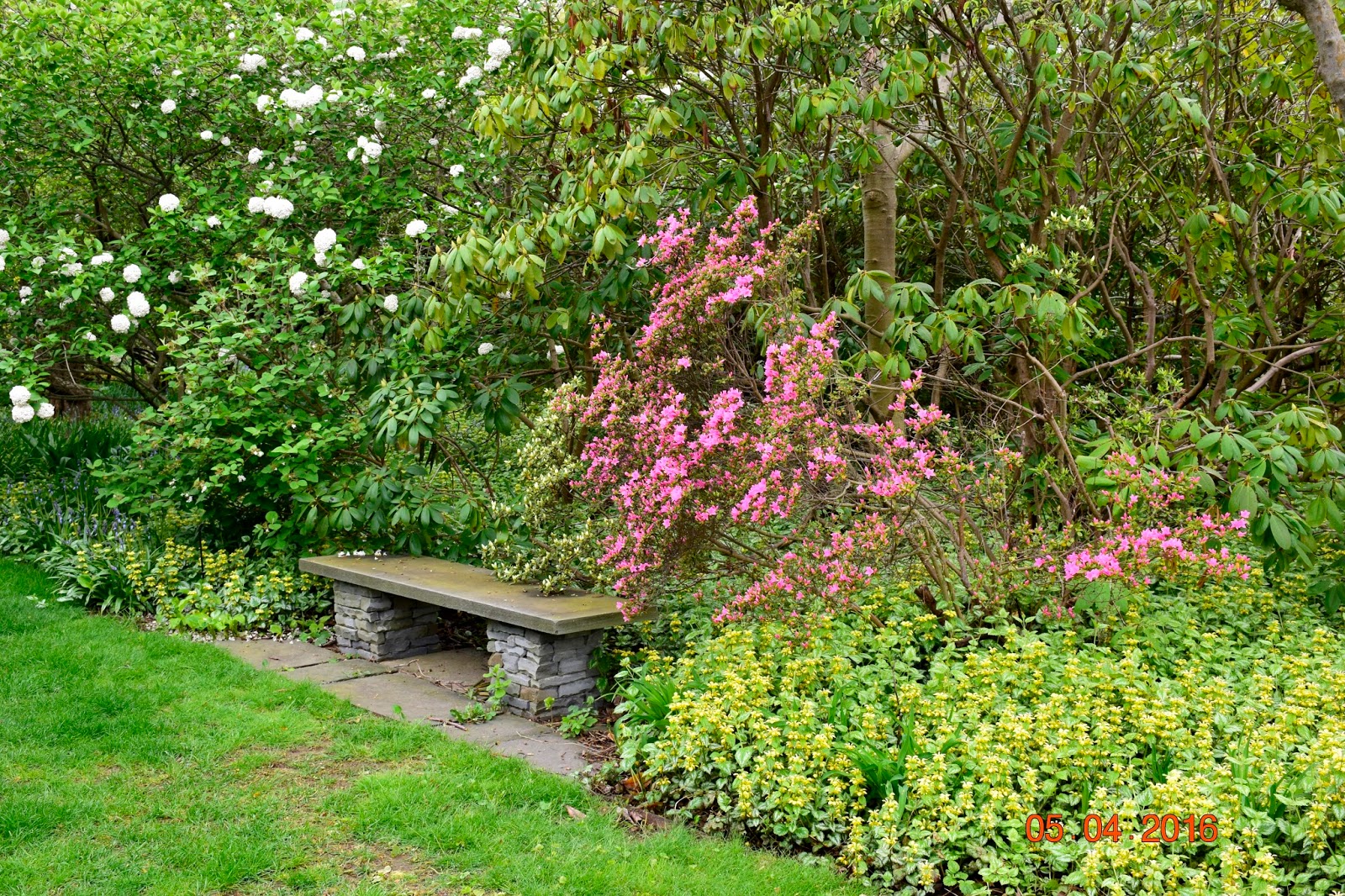 Melanie's Perennials: Rainy Day Garden Tours