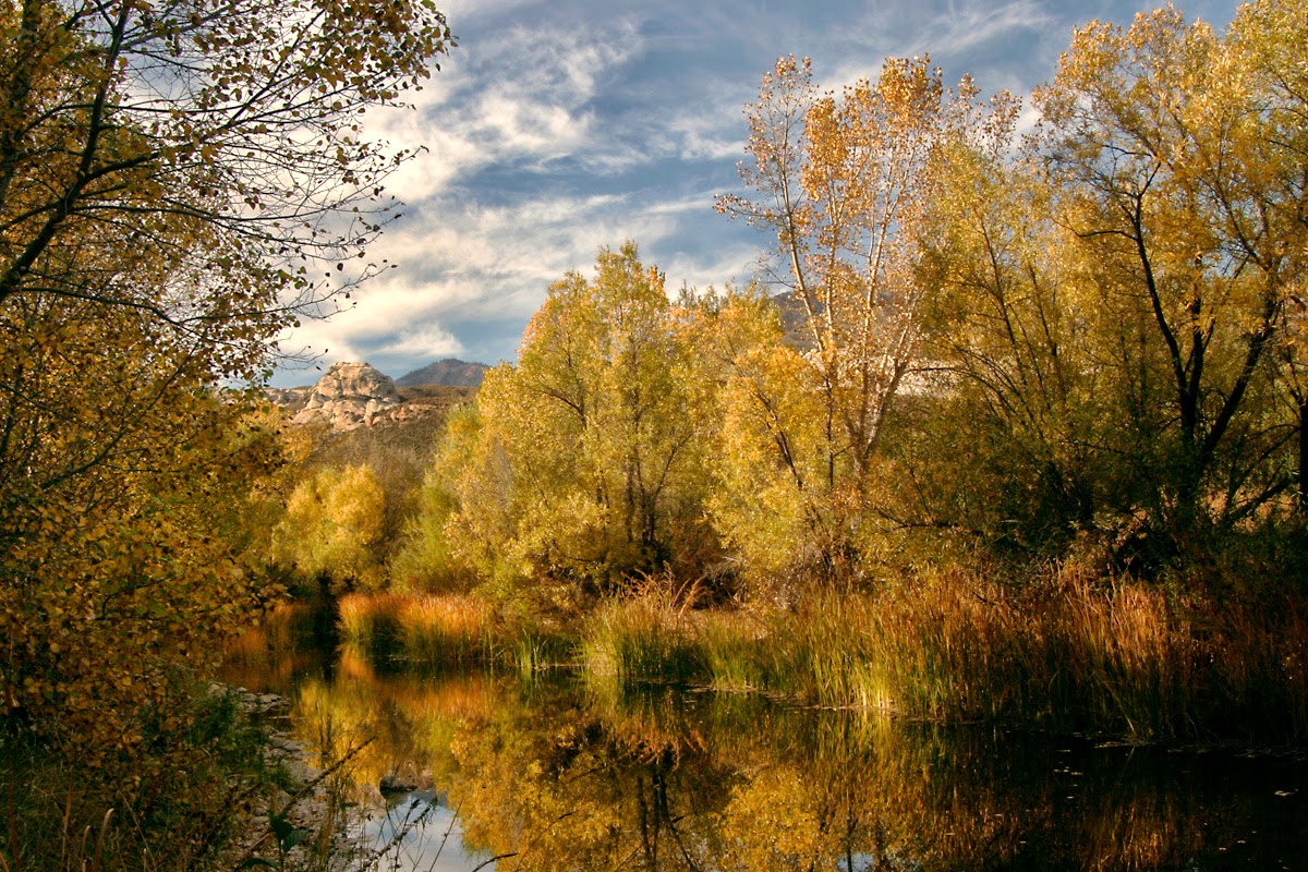 Aaron Chabot Creatives